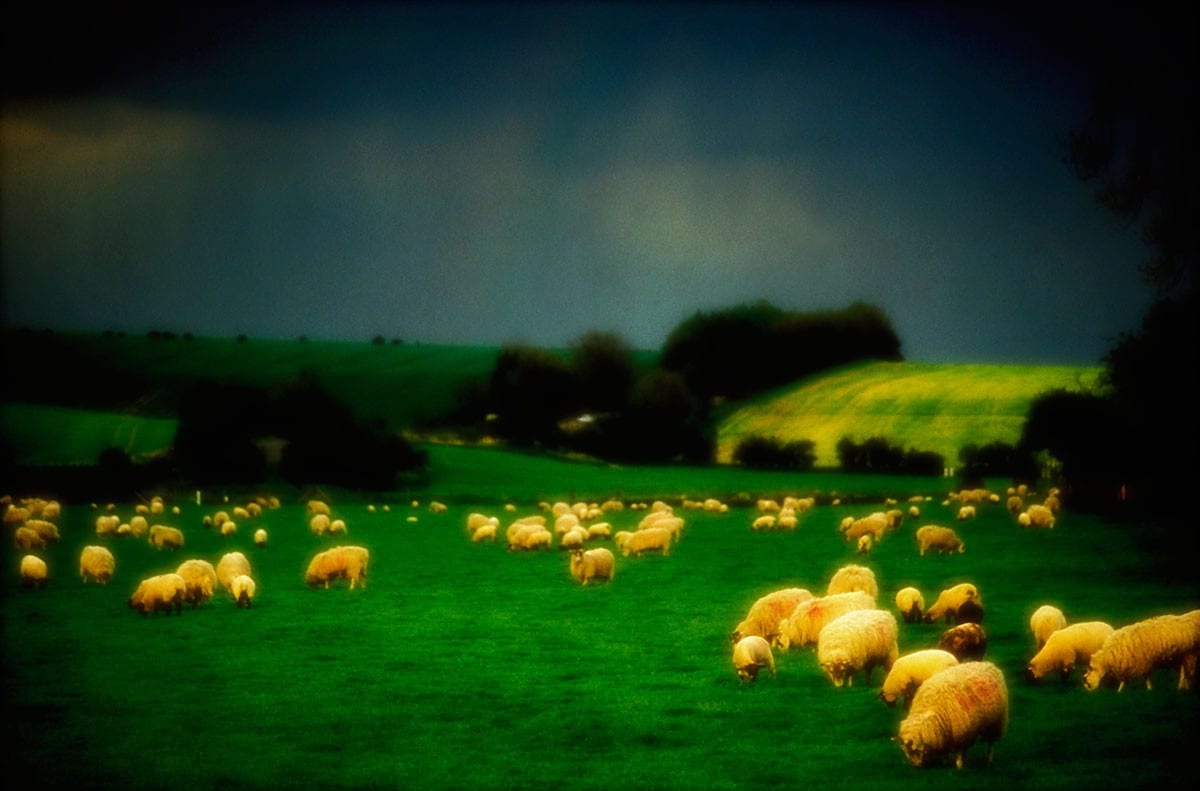 Jerry Atnip - South x Southeast photomagazine