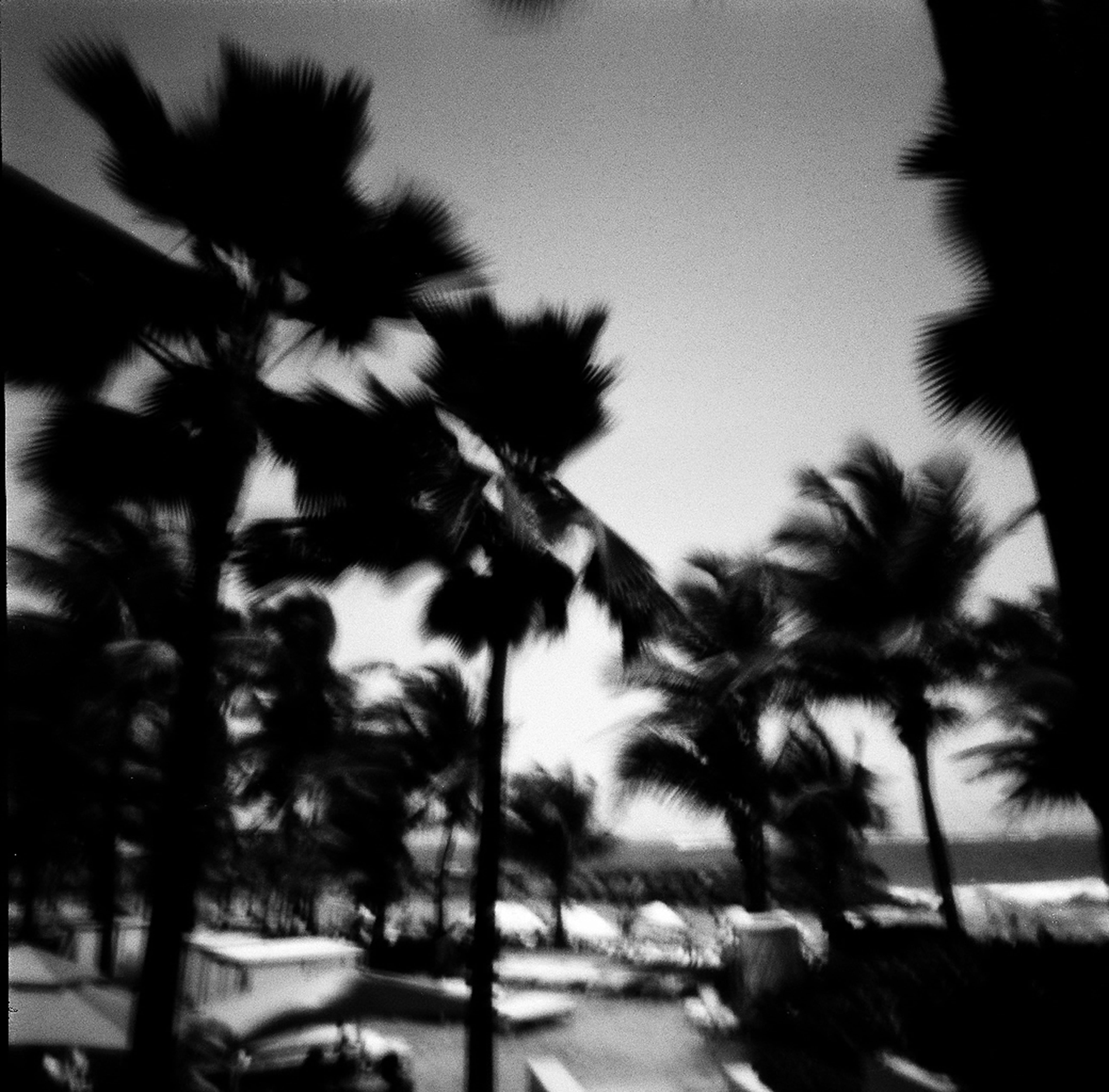 Too Much Sun | Bonnie McCormick - South x Southeast photomagazine