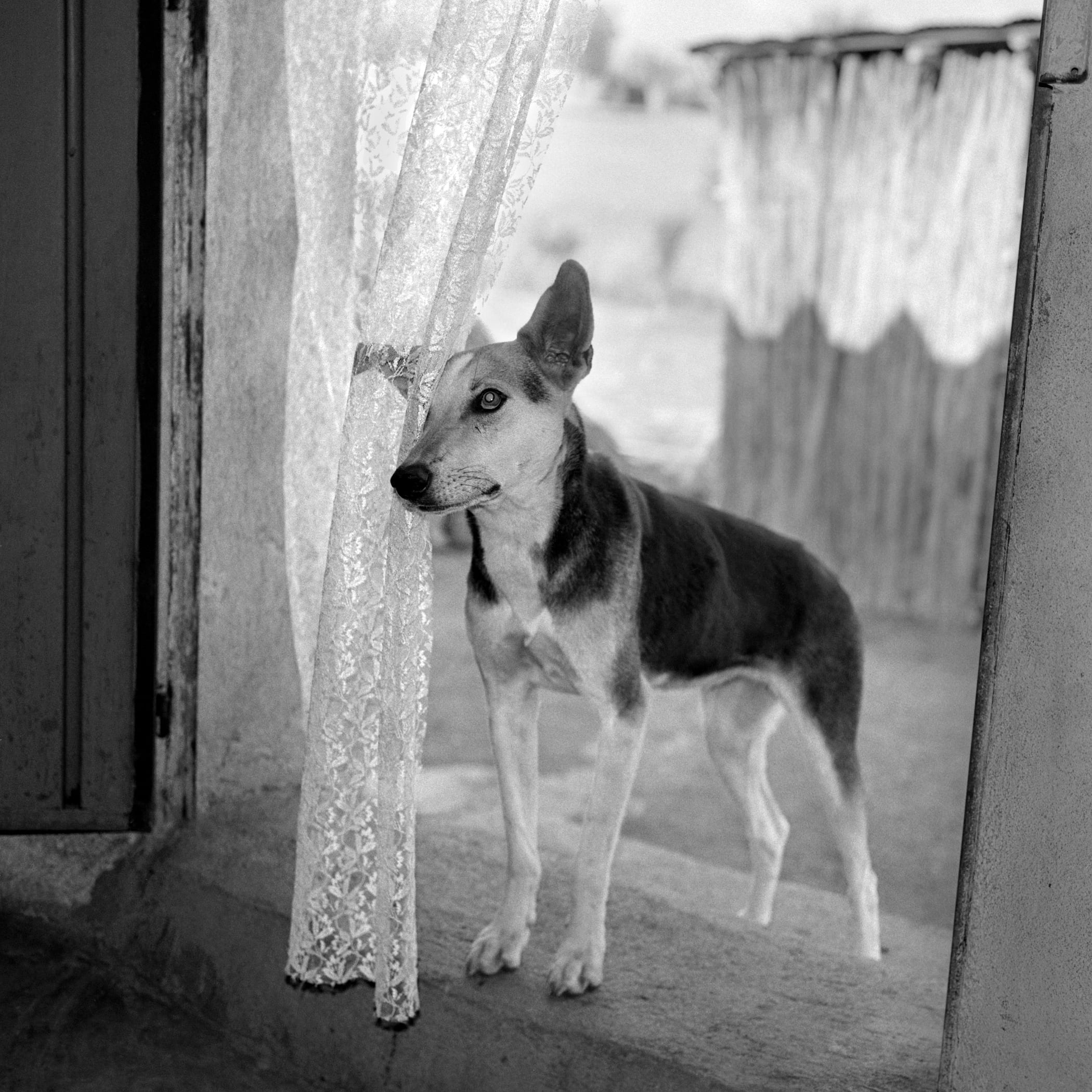 35 Years Strong: The Light Factory's Annual Auction | Interview with ...