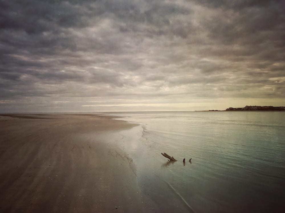 Dewees Island, SC PhotoWorkshop October 2017 | Lucie Canfield | Lisa ...